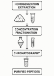 Peptide Isolation Techniques: From Extraction to Purification ...