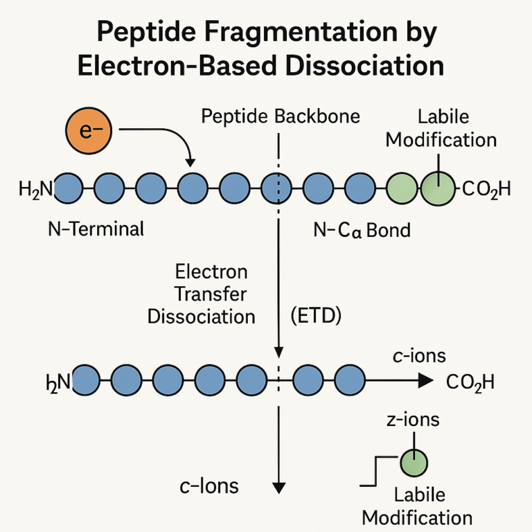 Low-Pressure Liquid Chromatography for Peptide Research - Verified Peptides