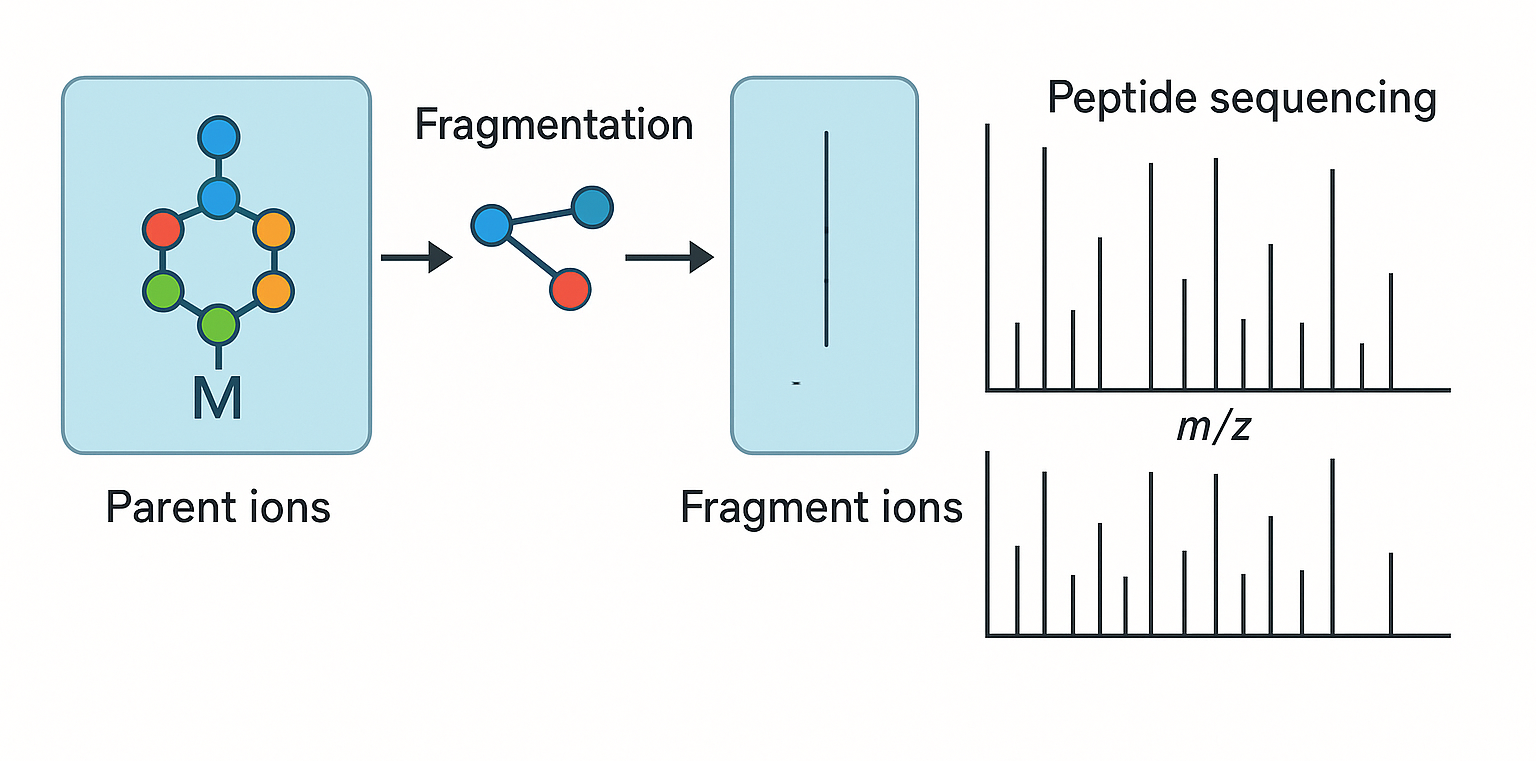 Mass Spectrometry vs. Gas Chromatography: A Comparison - Verified Peptides