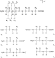 Peptide Fragmentation Patterns in Mass Spectrometry - Verified Peptides