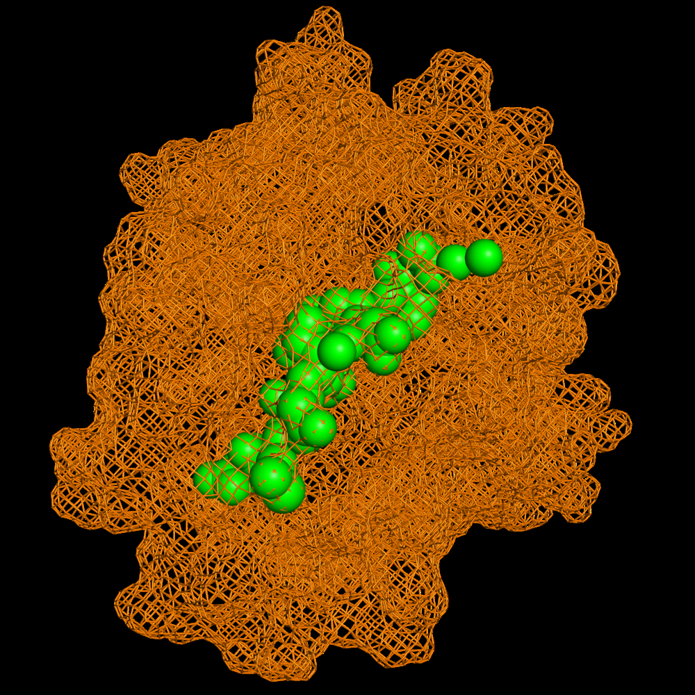 How Peptide Length Affects Research Outcomes - Verified Peptides