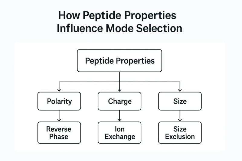 An Overview of HPLC Modes for Peptide Separation - Verified Peptides